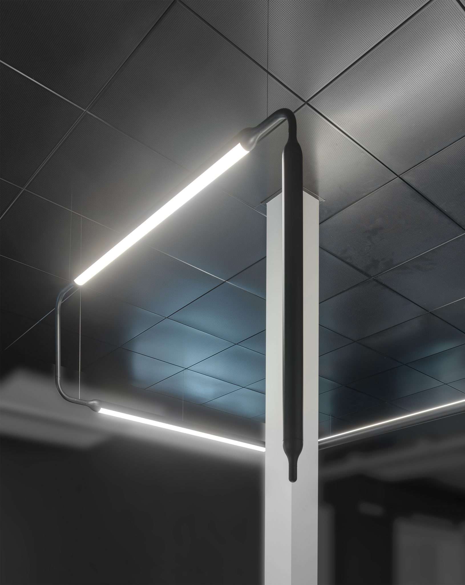 Profile – LUXSPACE PTE LTD
